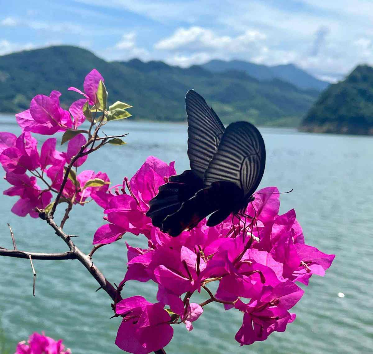 Your guide to adventure – Stamps in My Passport