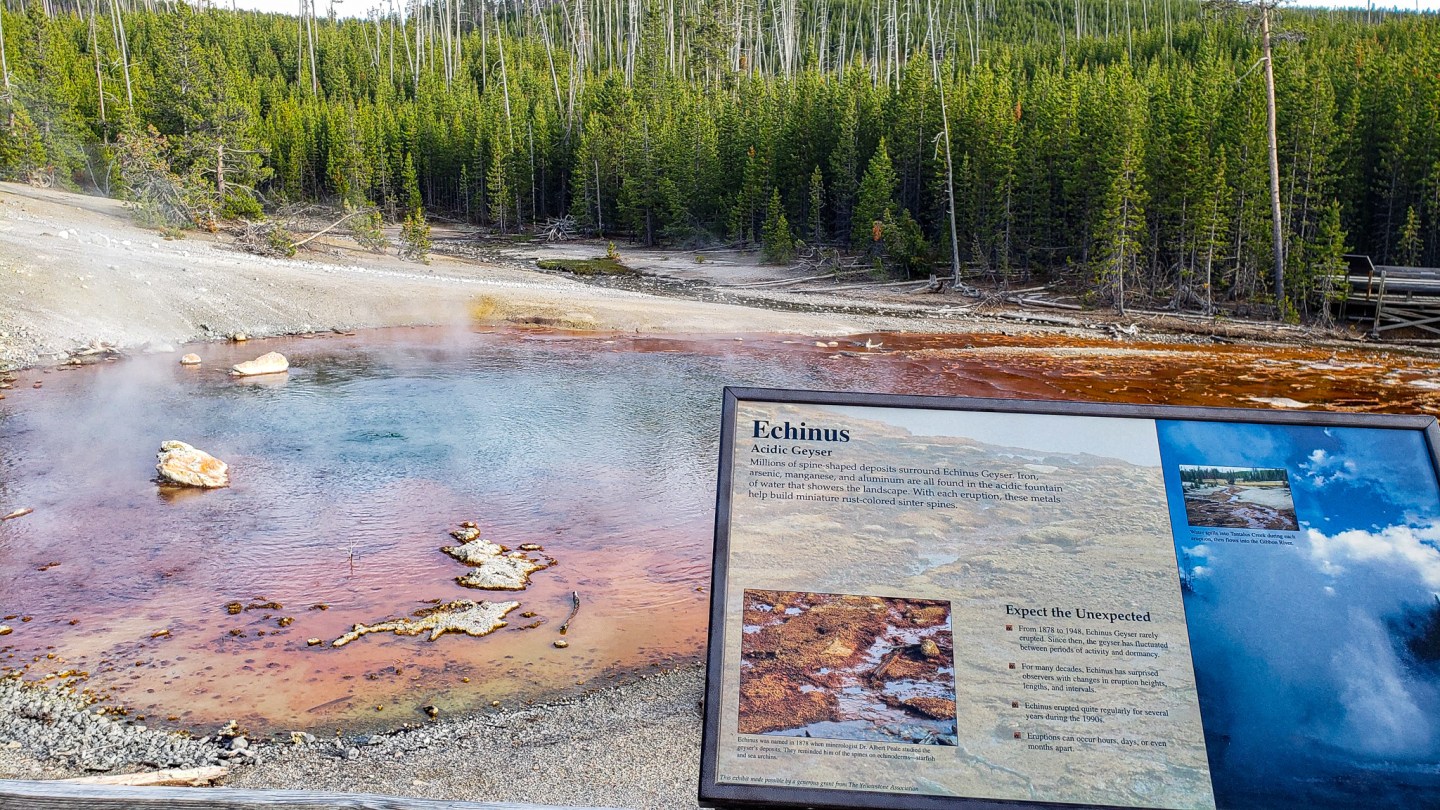 Yellowstone, When the World Went Quiet (Part I) – Stamps in My Passport